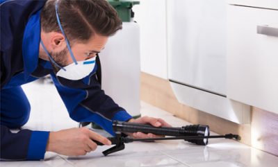 E&G Exterminators - Pest Exterminators in New Jersey